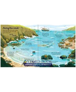 Look Inside Seas And Oceans – Interactive books For Kids – Booky Wooky