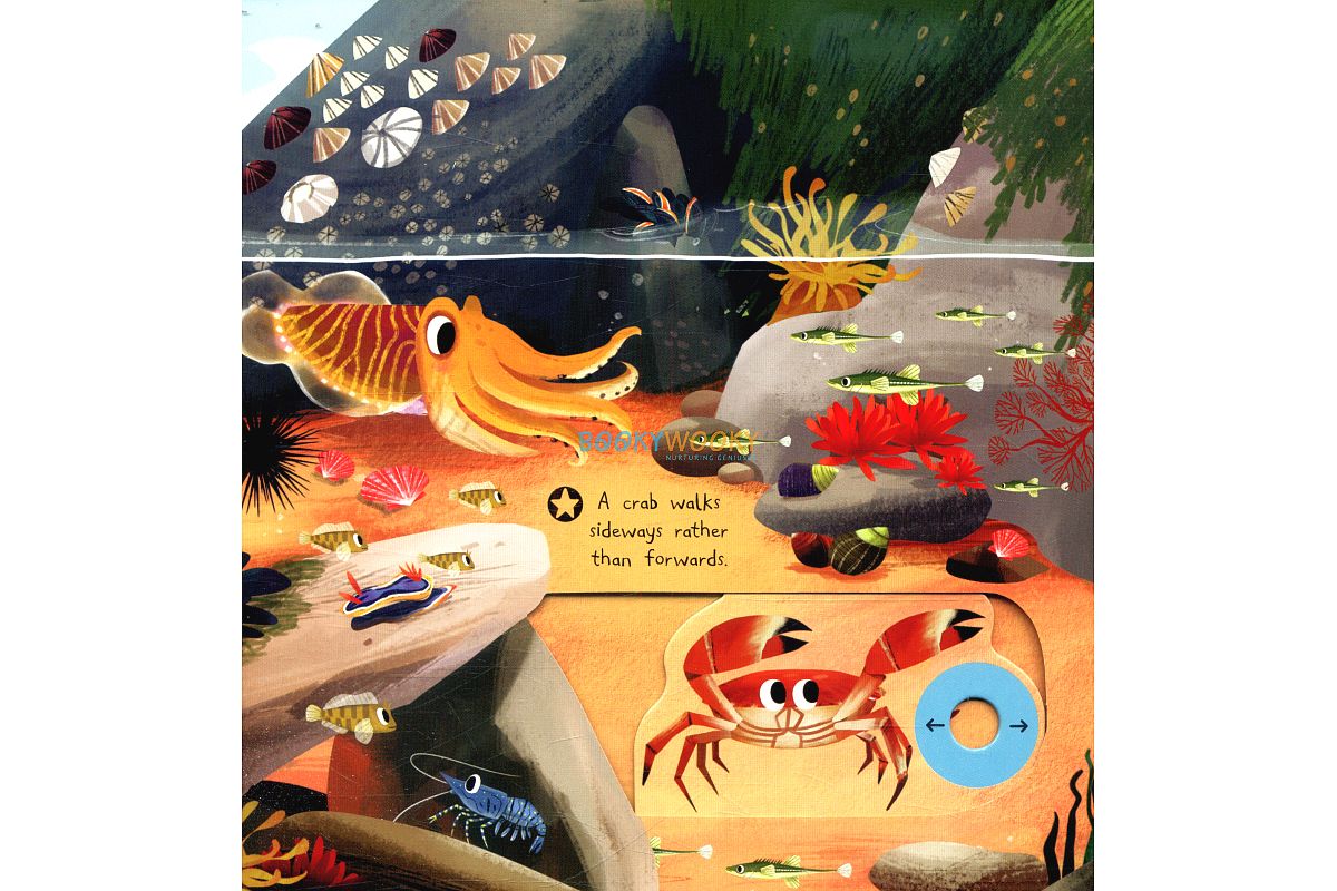 First Explorers: Sea Creatures – Interactive books For Kids – Booky Wooky