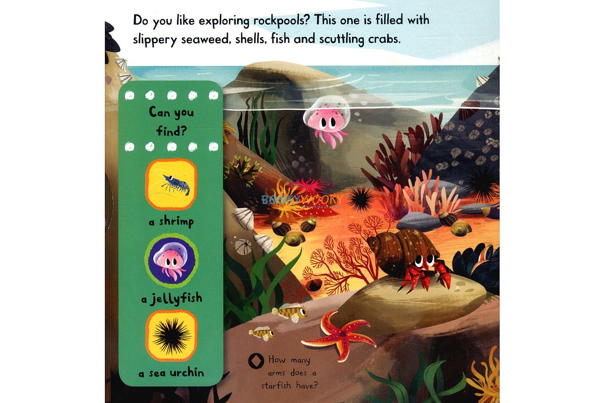 First Explorers: Sea Creatures – Interactive books For Kids – Booky Wooky