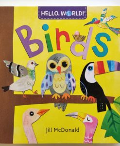 Hello, World! Birds – Educational books For Kids – Booky Wooky