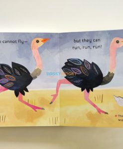 Hello, World! Birds – Educational books For Kids – Booky Wooky