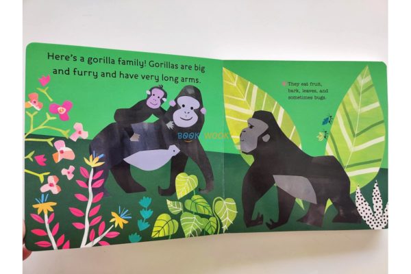 Hello, World! Rainforest Animals – – Booky Wooky