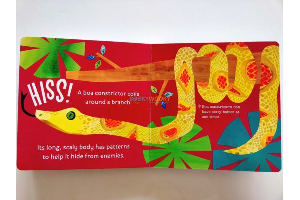 Hello, World! Rainforest Animals – – Booky Wooky