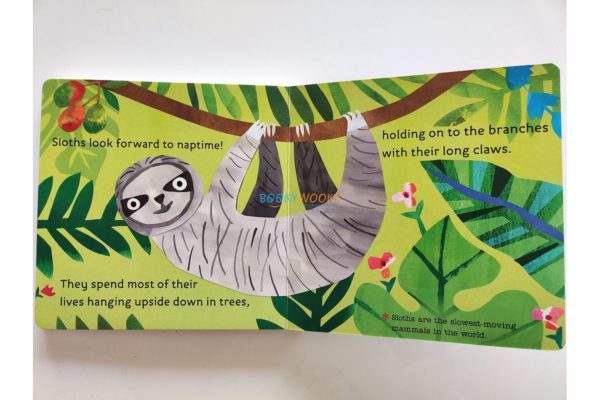 Hello, World! Rainforest Animals – – Booky Wooky