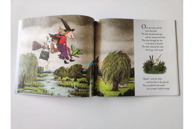Room on the Broom – Boardbook – – Booky Wooky