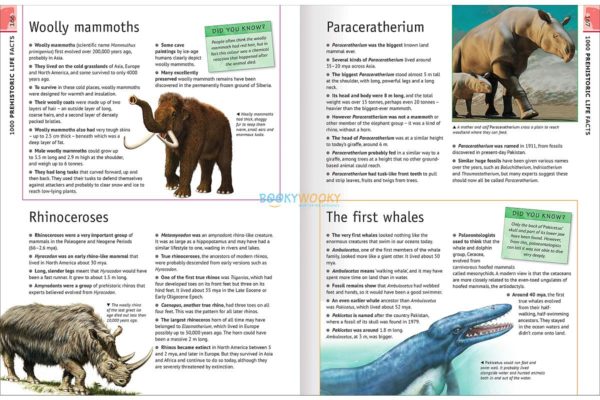 6000 Awesome Facts – – Booky Wooky