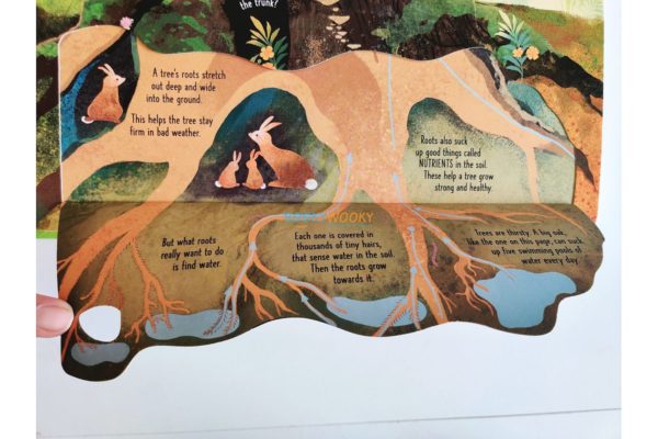 Usborne Lift-the-Flap Trees – – Booky Wooky