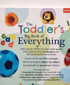 The Toddler's Big Book of Everything – Educational books For Kids ...