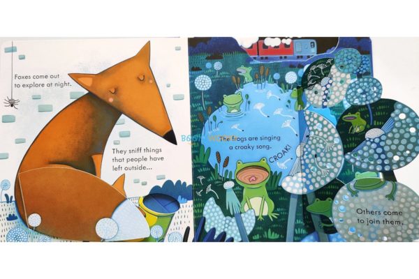 Usborne Peep Inside Night-Time – – Booky Wooky