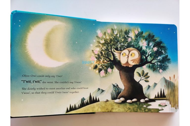 It Takes Two to Twit Twoo Boardbook – – Booky Wooky