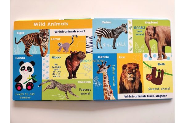 Look and Learn Animals – – Booky Wooky