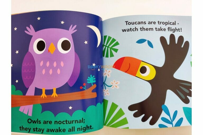 My First Zoo Animals – – Booky Wooky