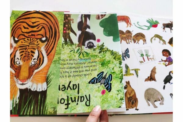 First Rainforest Book – – Booky Wooky