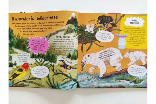 First Rainforest Book – – Booky Wooky