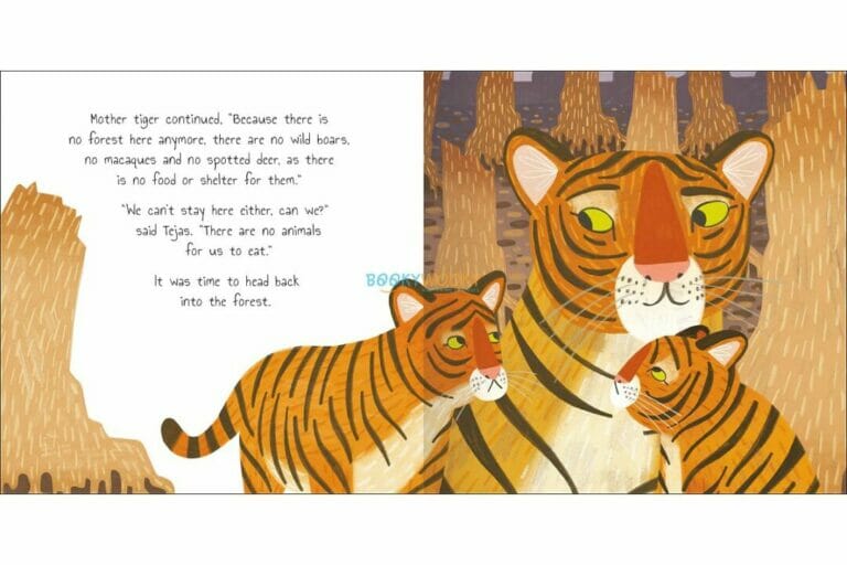 The Curious Tiger – – Booky Wooky