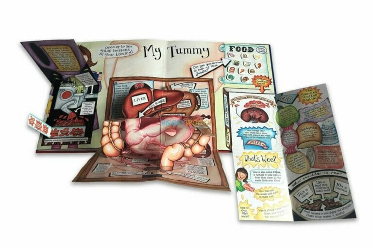 My Pop-up Body Book – – Booky Wooky