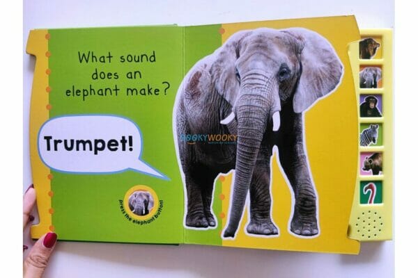 In the Wild an Animal Sounds Books – – Booky Wooky