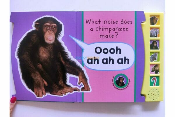 In the Wild an Animal Sounds Books – – Booky Wooky