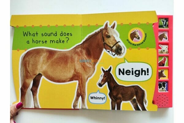 On the Farm an animal Sounds Book – – Booky Wooky