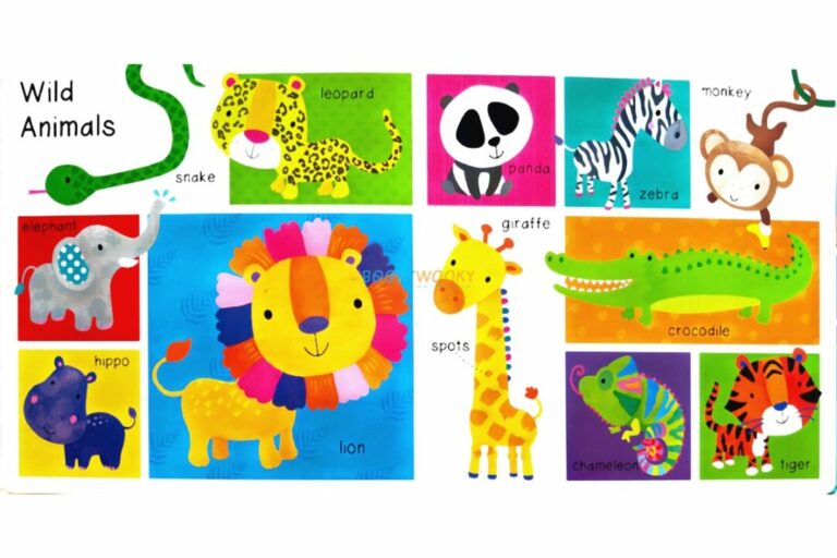 100 Animal Words – – Booky Wooky