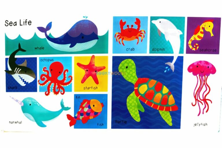 100 Animal Words – – Booky Wooky